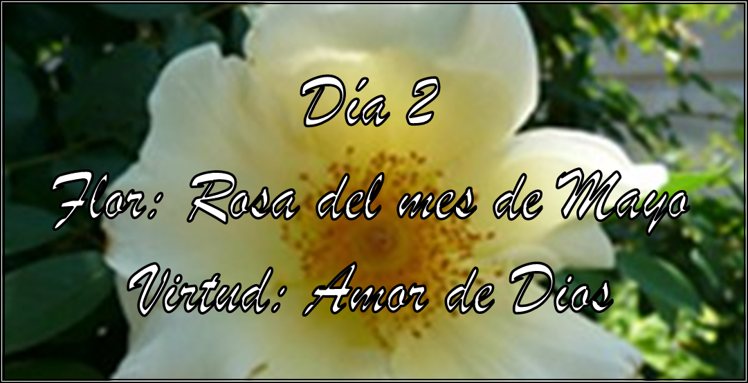 dia 2 | América CMT